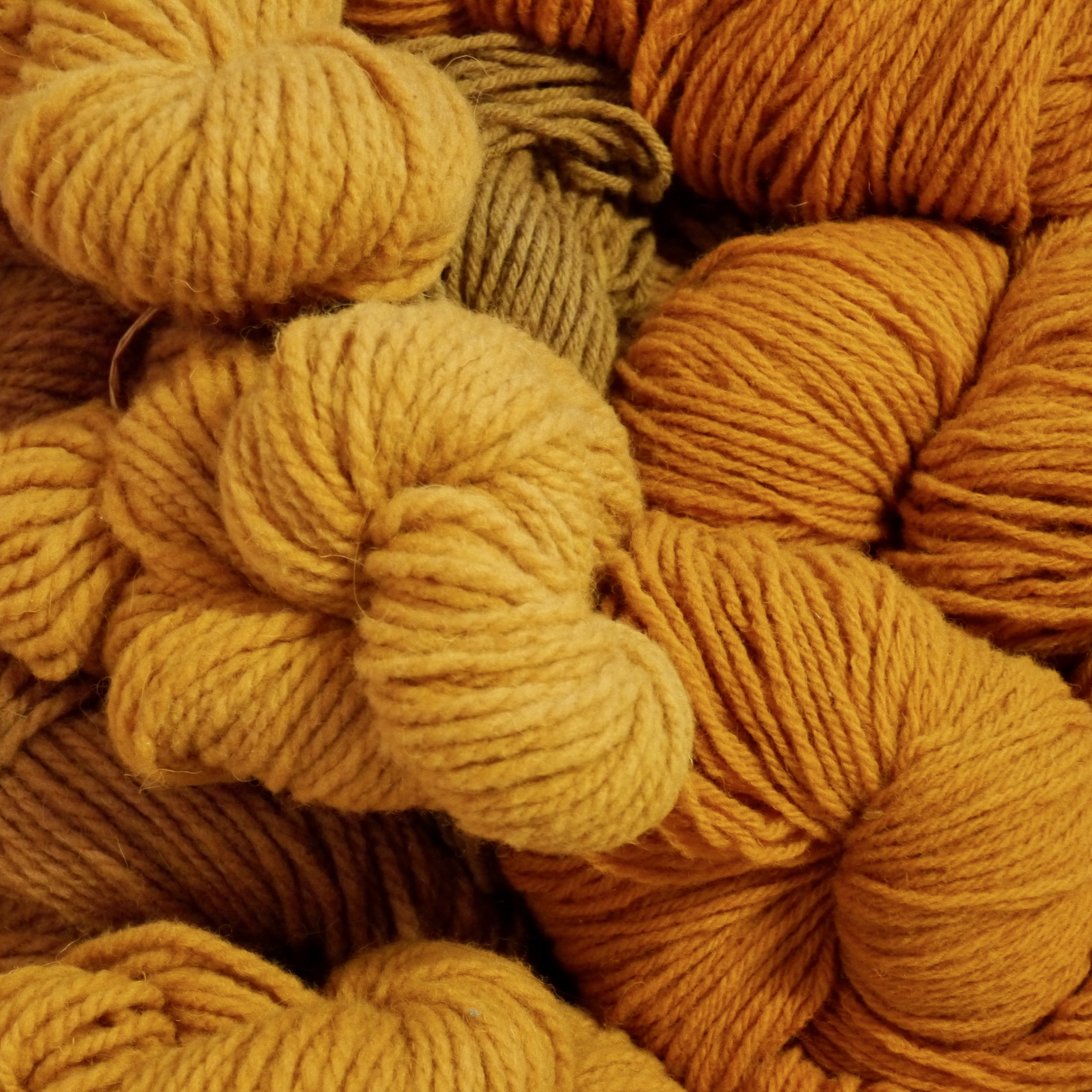 Les couleurs… – L'habit en roses