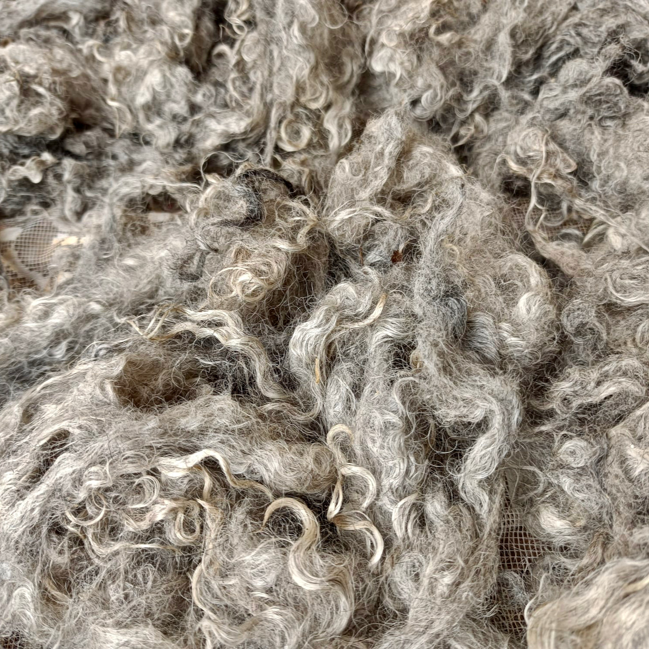 Formation professionnelle – L'habit en roses