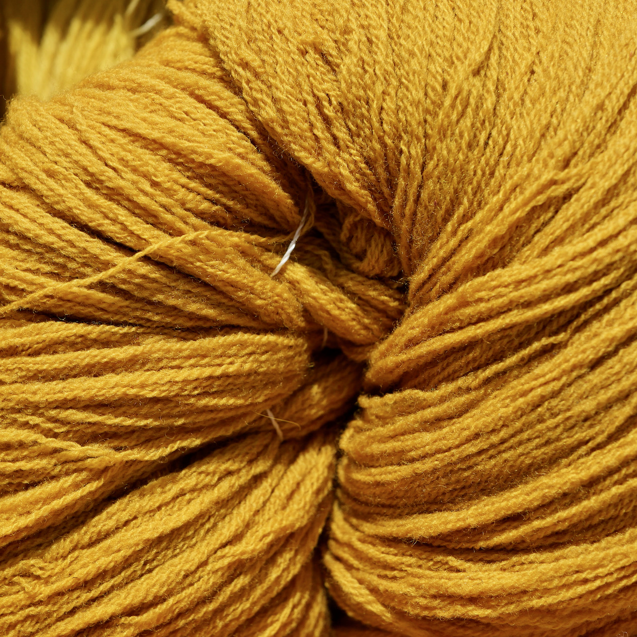 P1063394 – L'habit en roses